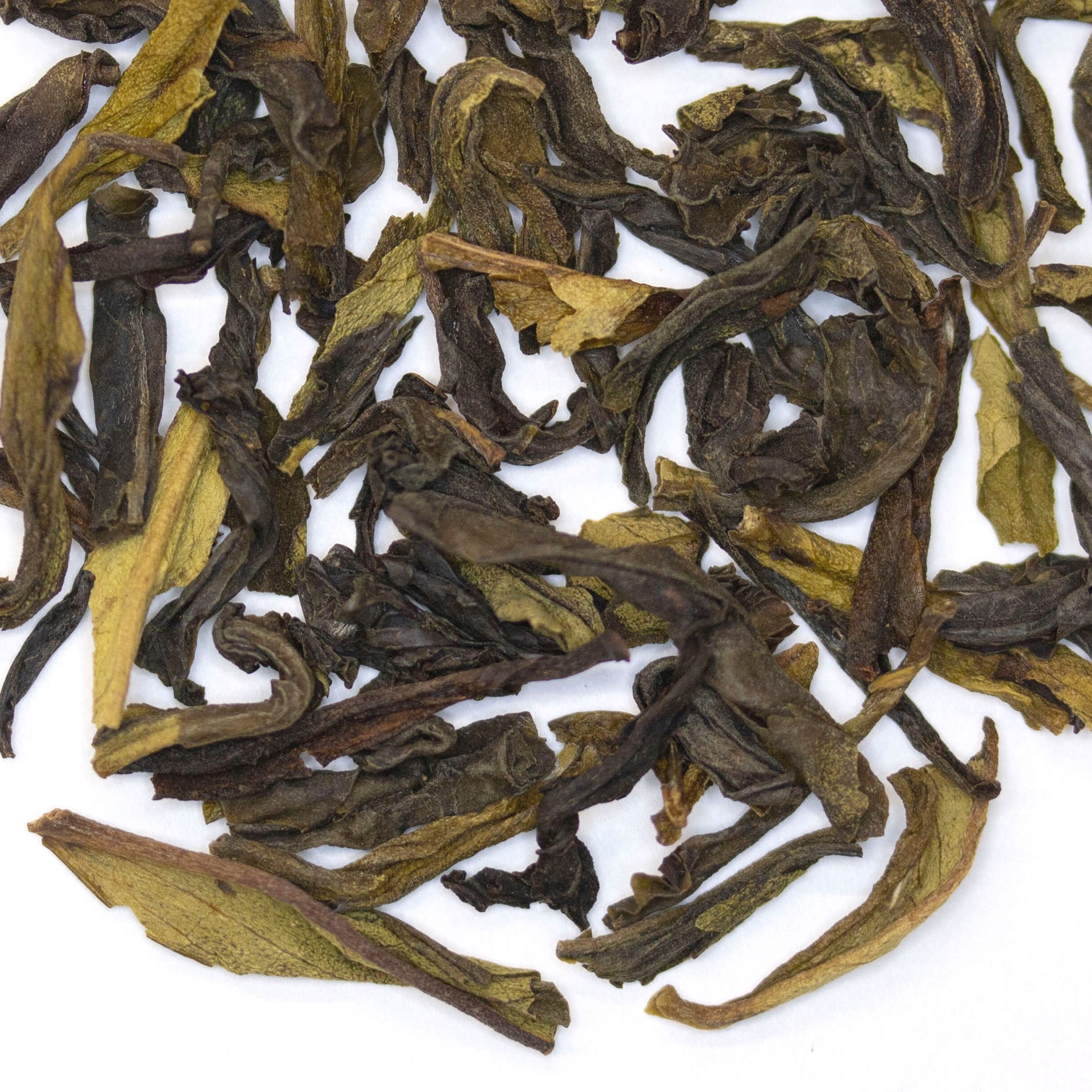 Ceylon Rainforest Green Tea | TeaSource
