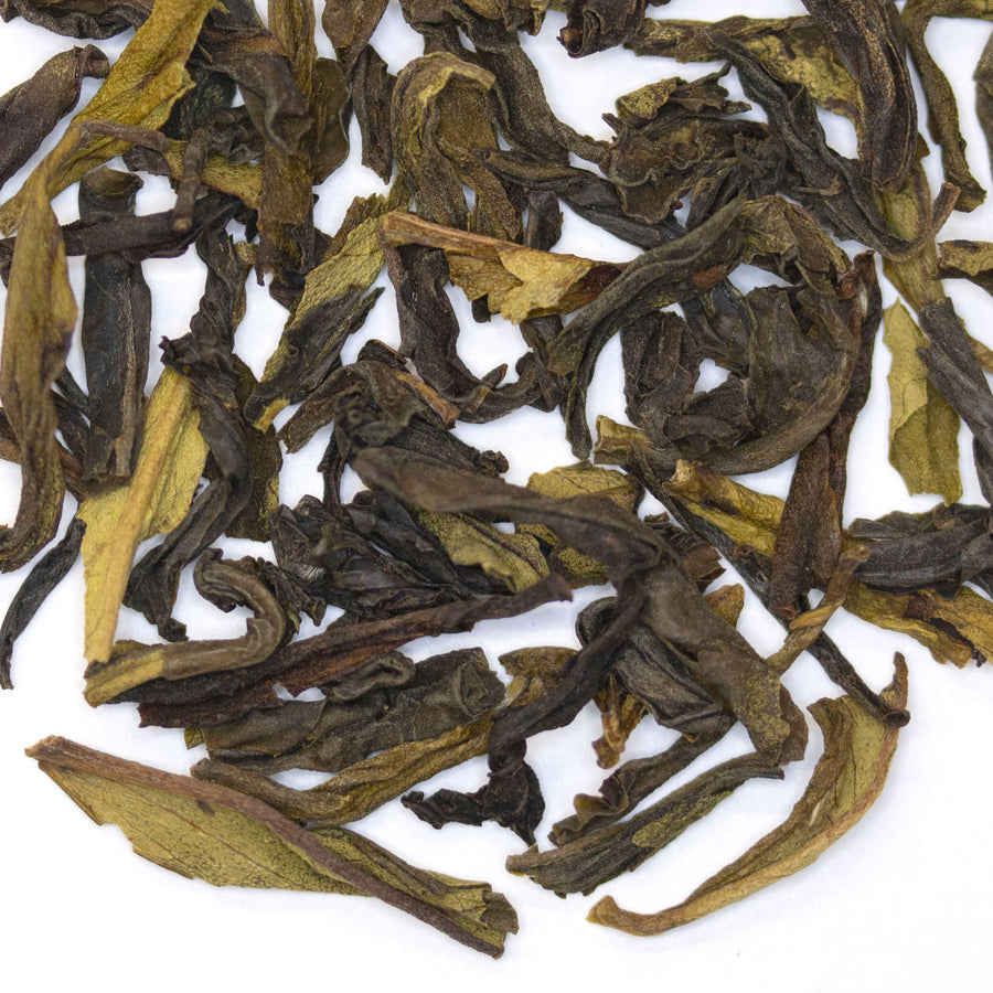 Ceylon Rainforest Green Tea | TeaSource