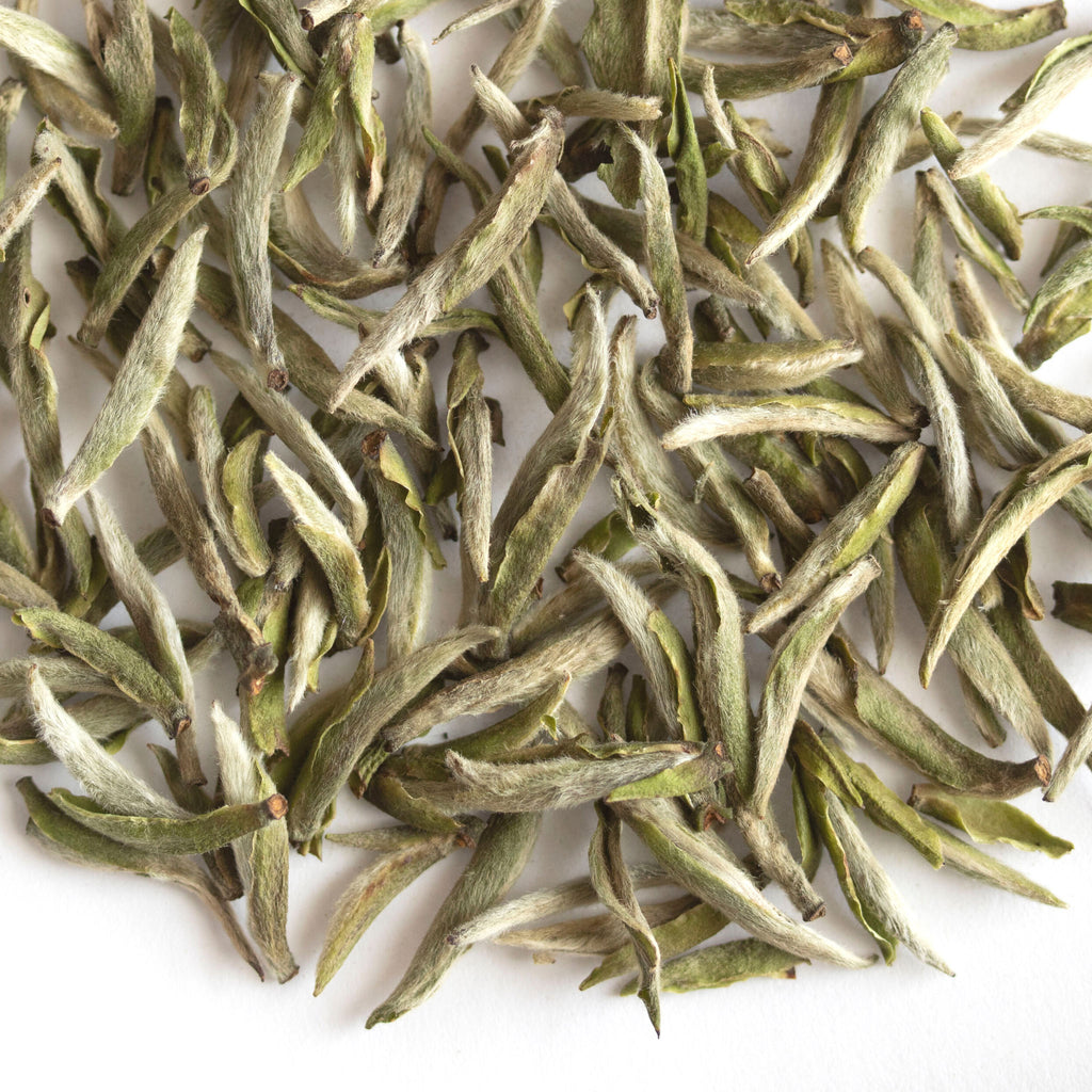 Sundial Silver Needles | White Tea | TeaSource